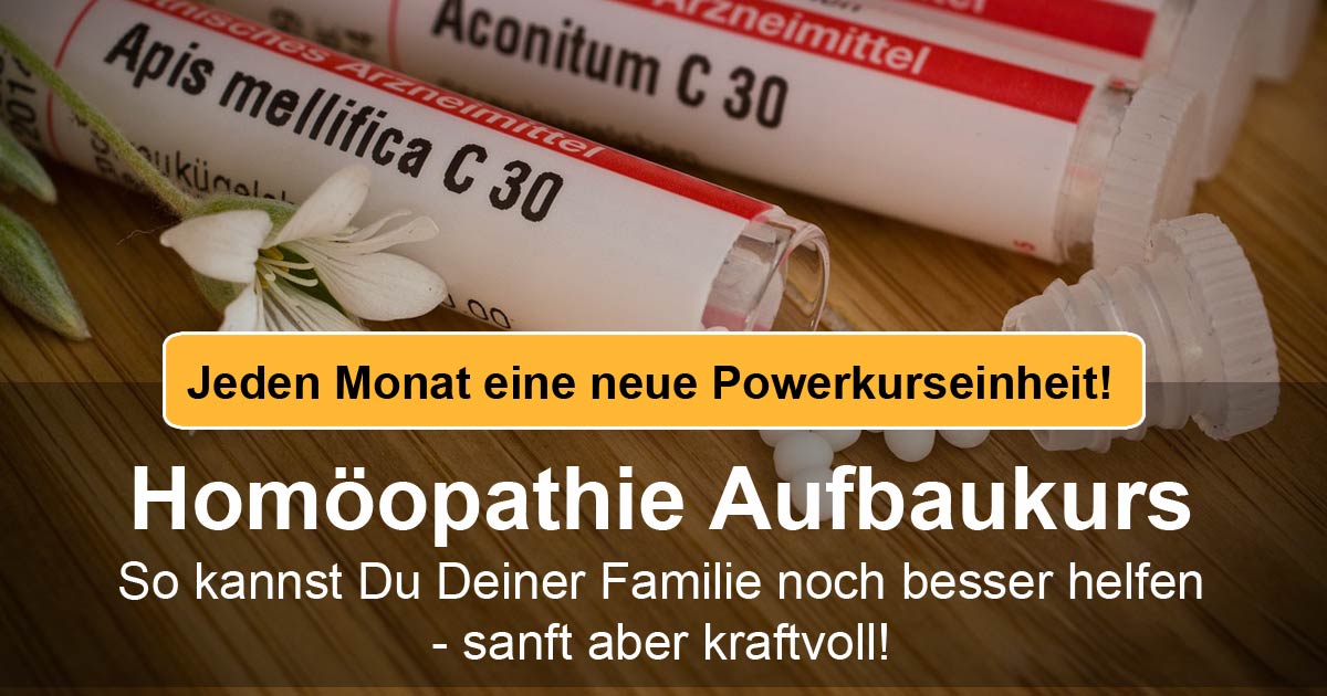 Meine Homöopathie Online-Kurse mit den Glücksknirpsen – innovative ...